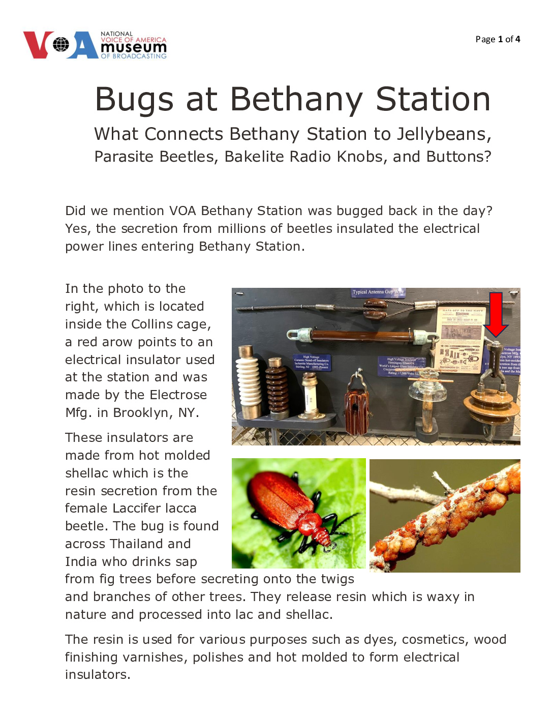 Bugs at VOA Bethany Station | National VOA Museum of Broadcasting